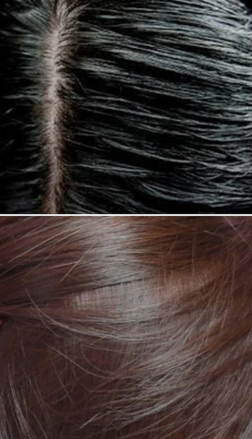 Indigo Henna Hair Color