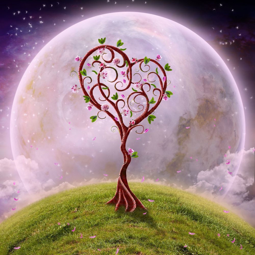 Beautiful Love Images Of Nature